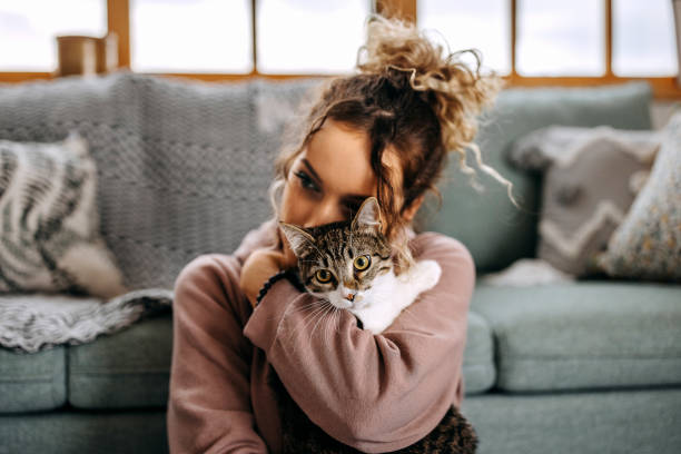 Do you have a cat? How much do you love your cat? – Abound Pet Supplies