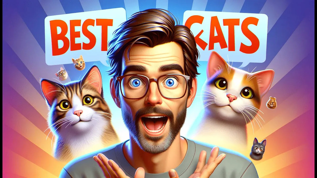 The Top 10 Cats For Children – Abound Pet Supplies