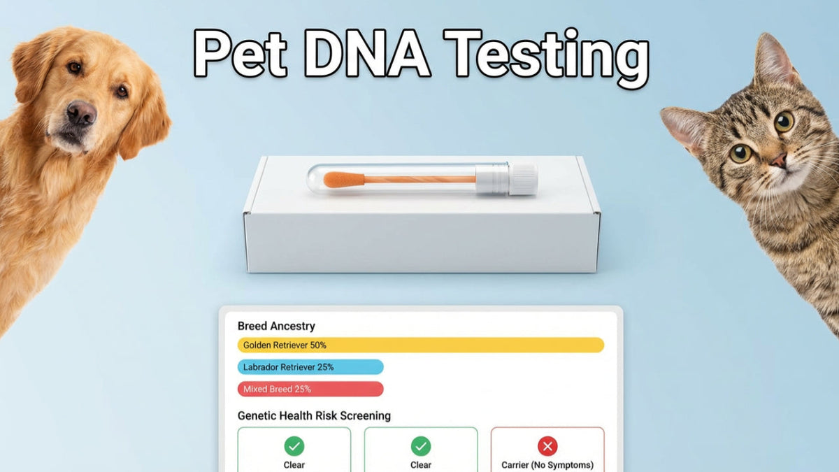 Pet DNA Testing: Understanding Your Pet’s Ancestry, Genetic Health Ris ...