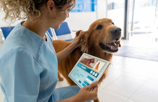 Wearable Pet Health Monitoring Exposed: How This Tech is Changing Pet ...