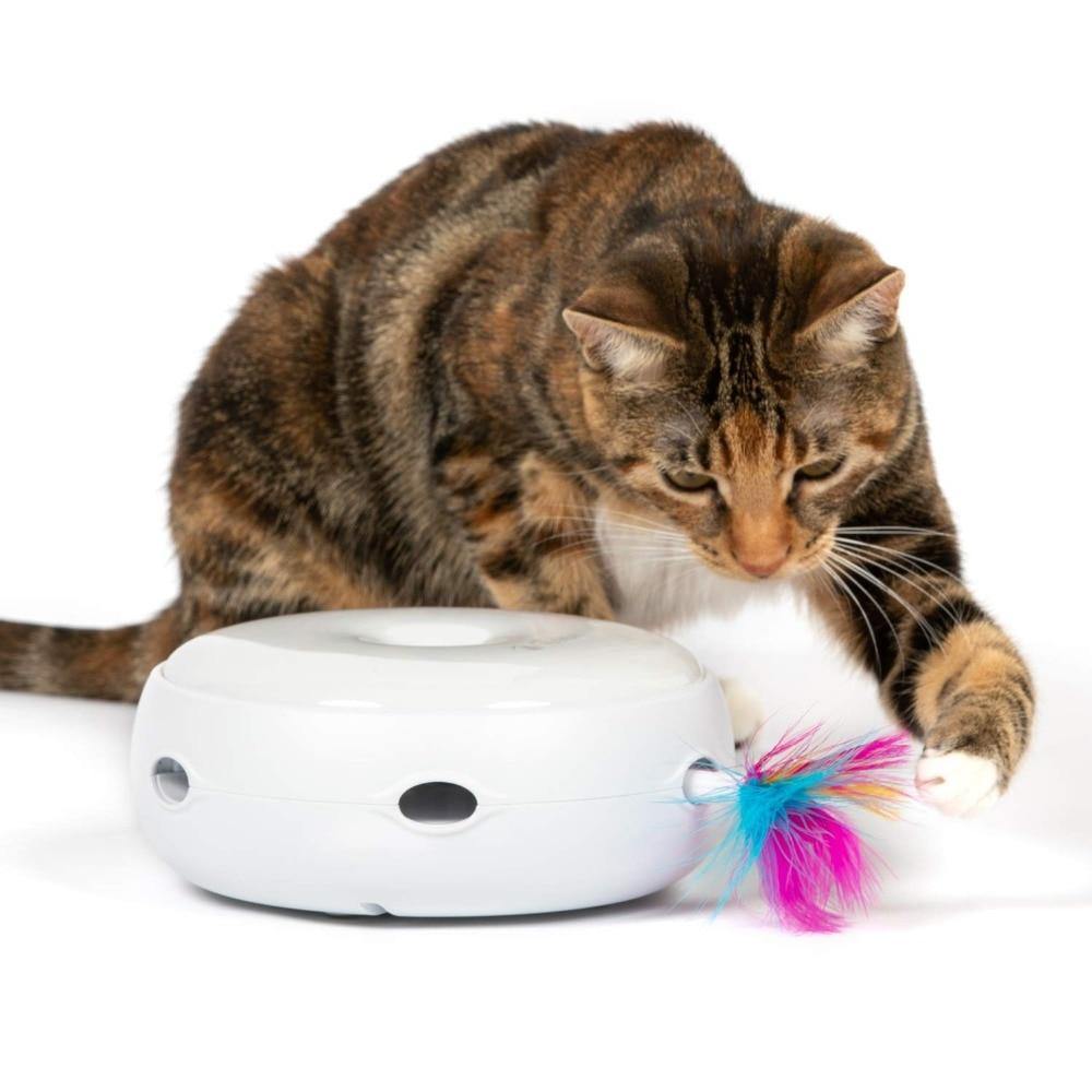 Interactive Cat Toys – Abound Pet Supplies
